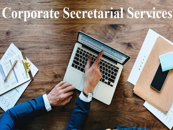 246478 Times Visited